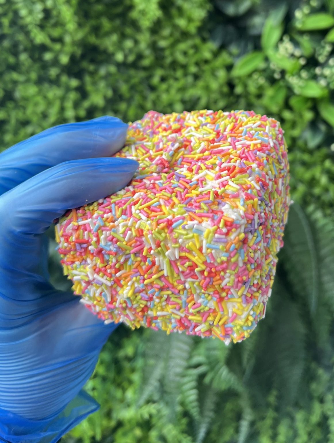 Fairy Lamington - Cakes By Rebecca