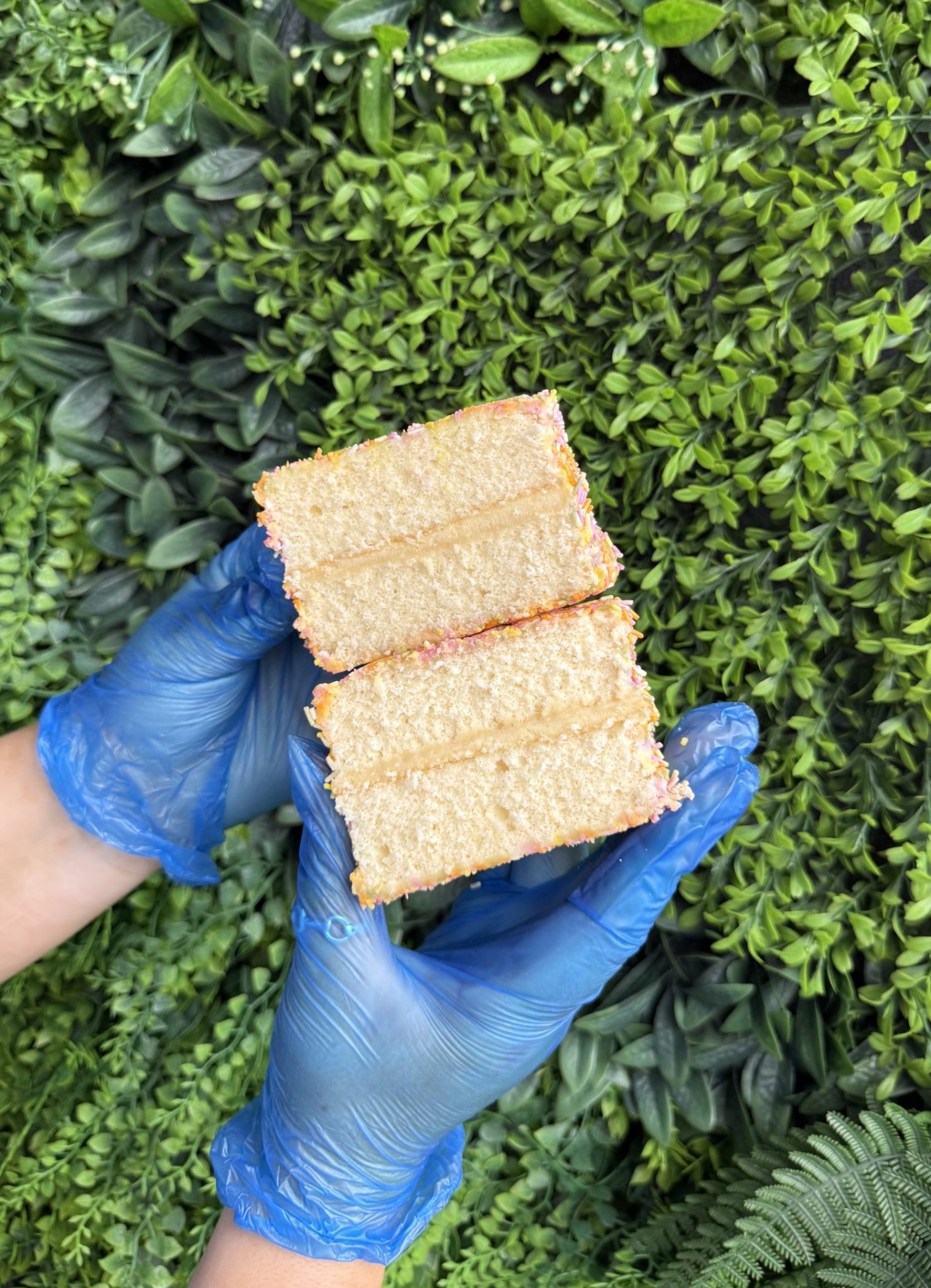 Fairy Lamington - Cakes By Rebecca